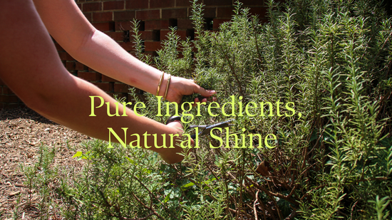 Pichora - Clean Honest Simple